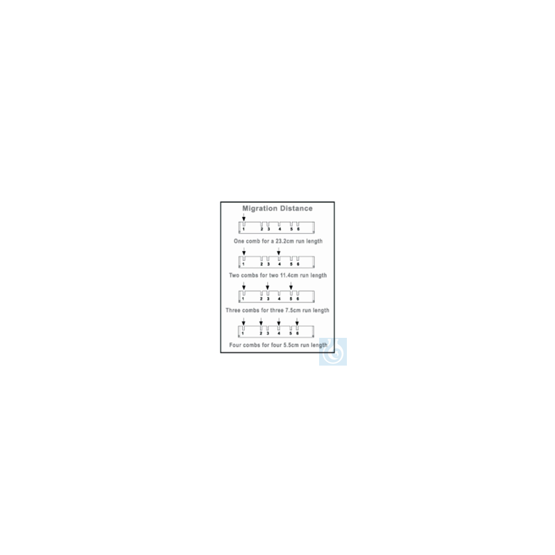 A2 and A5 Large Gel Electrophoresis System Standard Comb Standard comb ...