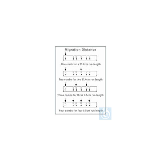 A2 and A5 Large Gel Electrophoresis System Standard Comb Standard comb ...