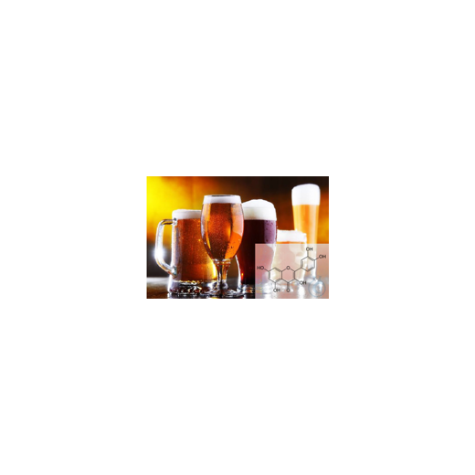 CDR FoodLab Polyphenols Test Kit, 403,00